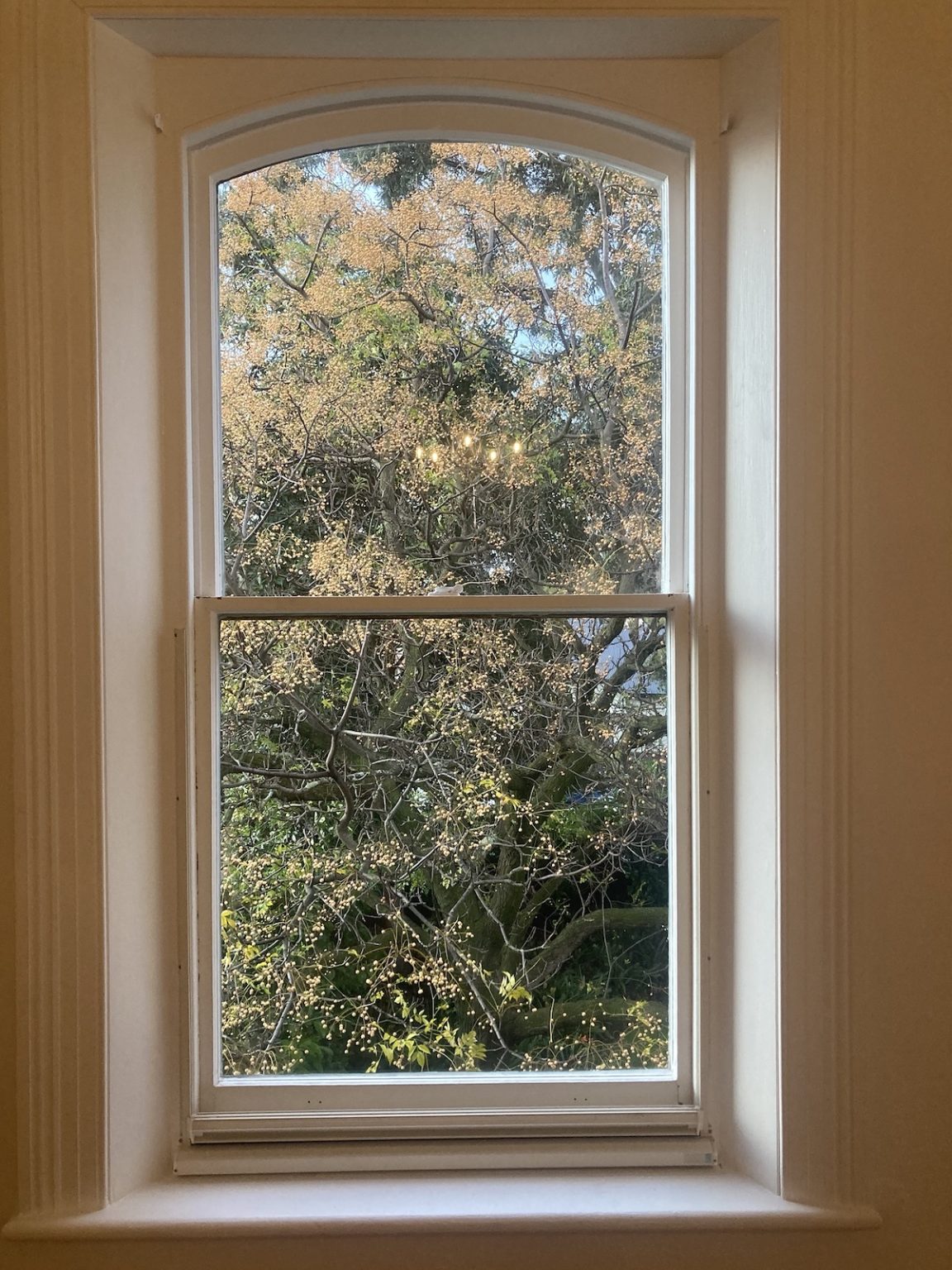 Window Types - Common House Windows - Adelaide Glaziers